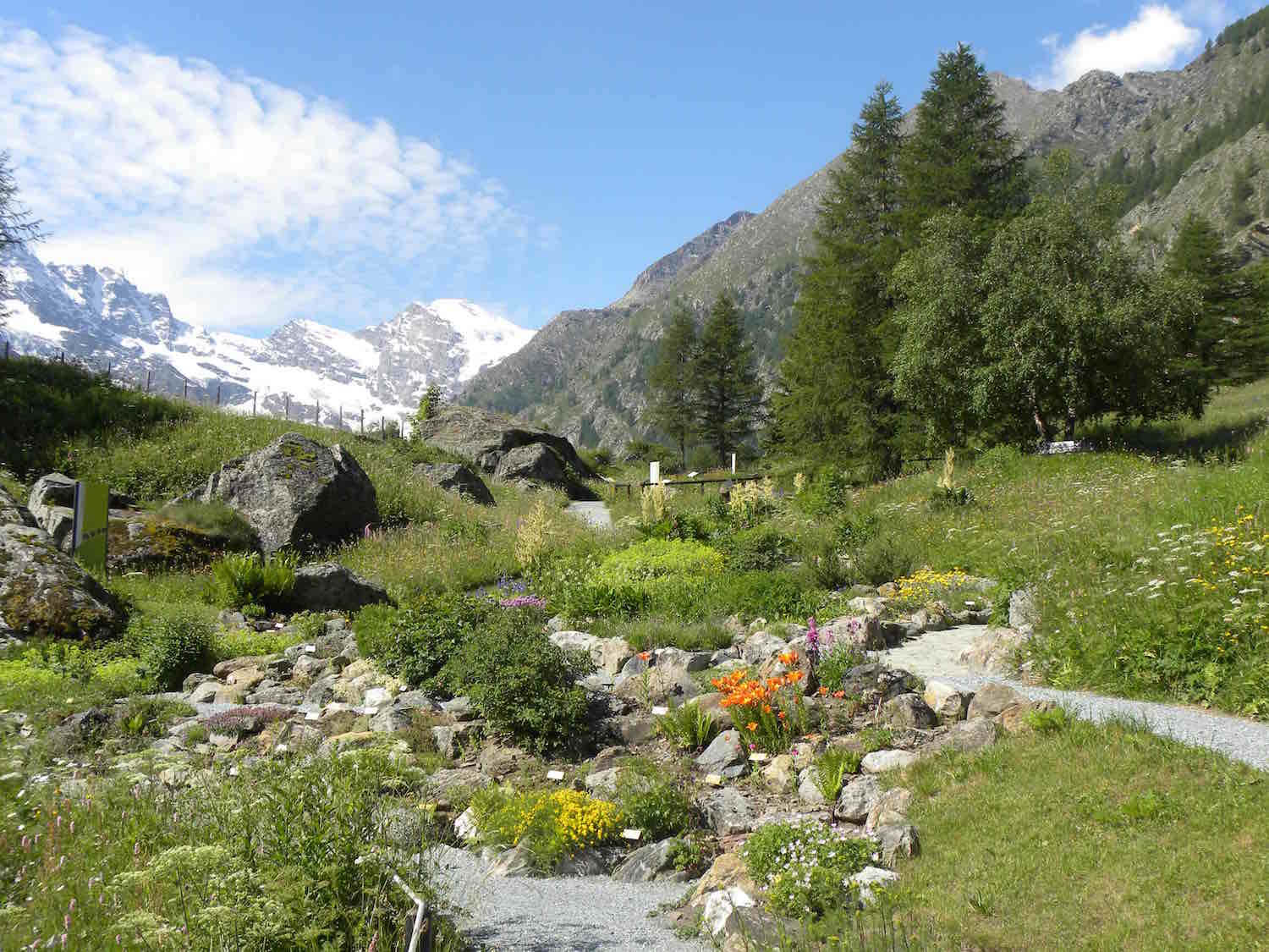 “Paradisia”, il giardino botanico riapre al pubblico - Aostasera