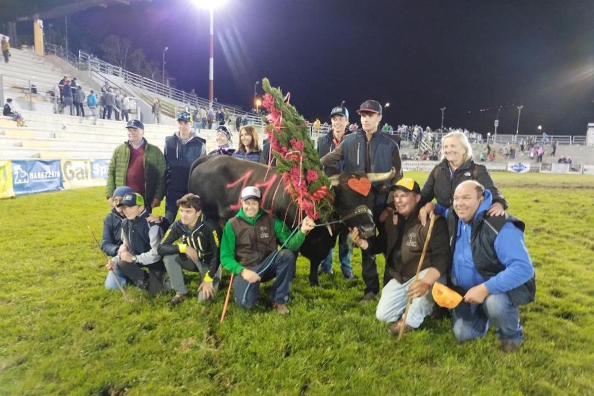 Batailles, il titolo a Bandit di Davide Bieller: vince pure Malice de ...