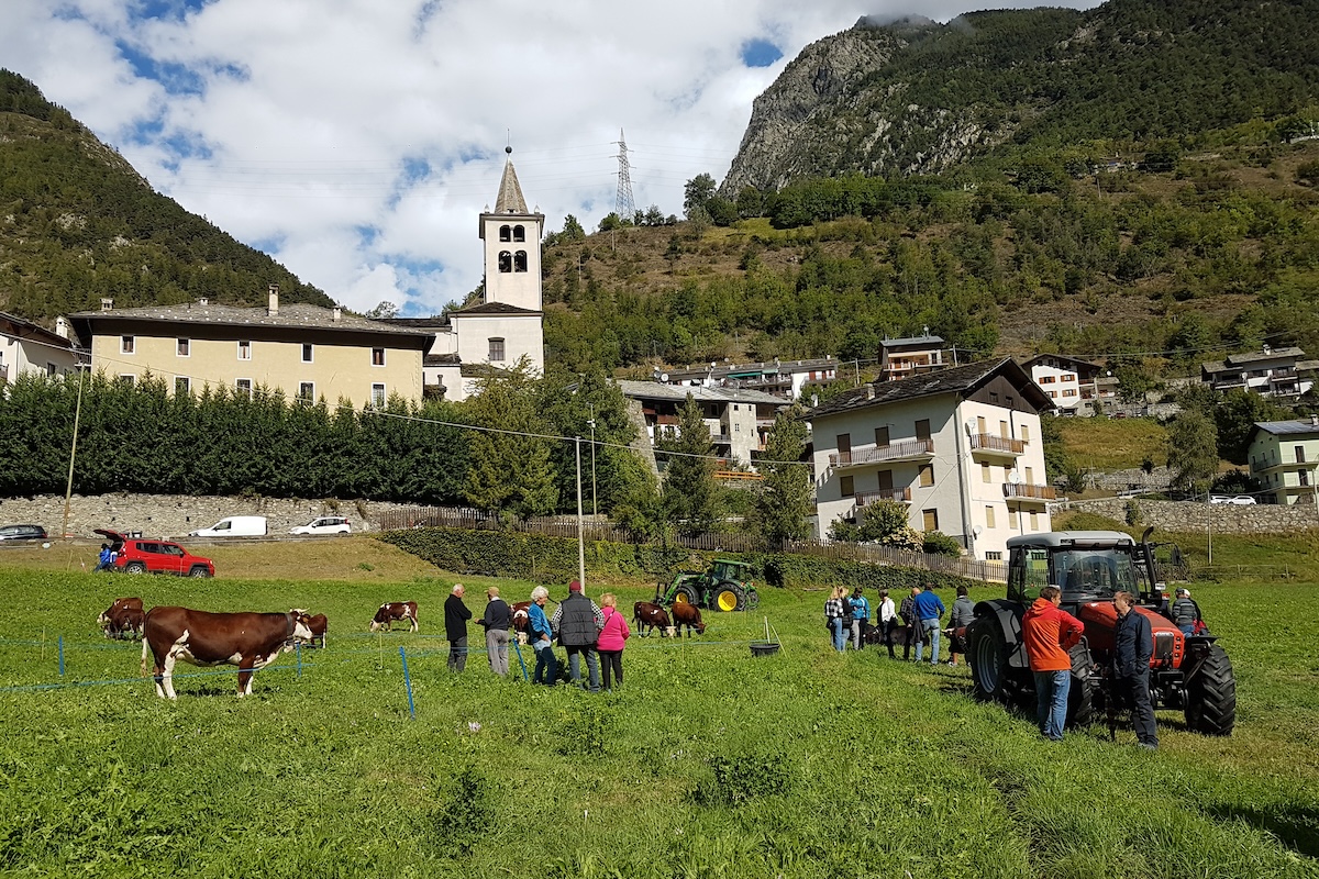 Cosa fare in Valle d'Aosta - Sapori, tradizioni e batailles: la "Reine ...